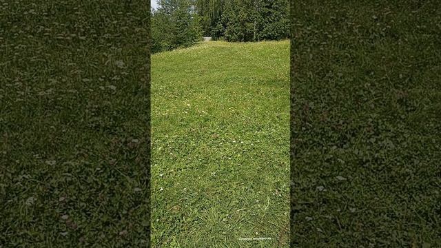 Река Ветлуга в Варнавино