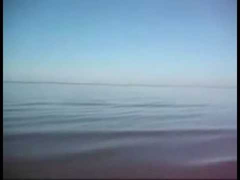 Лечение психосоматики, укрепление нервной системы (йога и аутотренинг)http://www.ozdorov.ru/