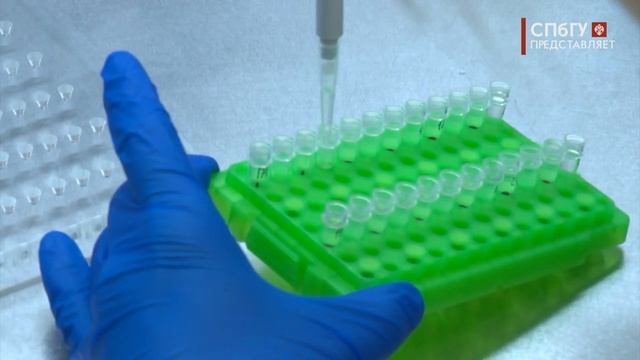 ДАЙДЖЕСТ ОКТЯБРЬ 2020