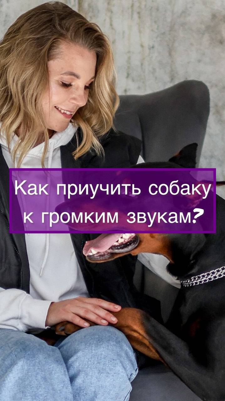 Собака боится громких звуков. Что делать? Как приучить щенка к громким звукам? Читай описание