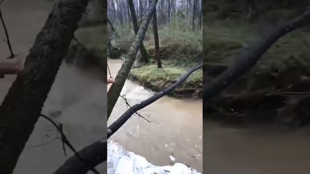 Умный в гору не пойдет...