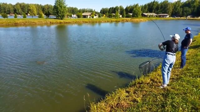 Просто идеальный день, чтобы пойти на рыбалку и поймать гигантскую рыбу!