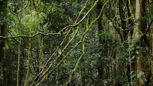 25  фактов о природе