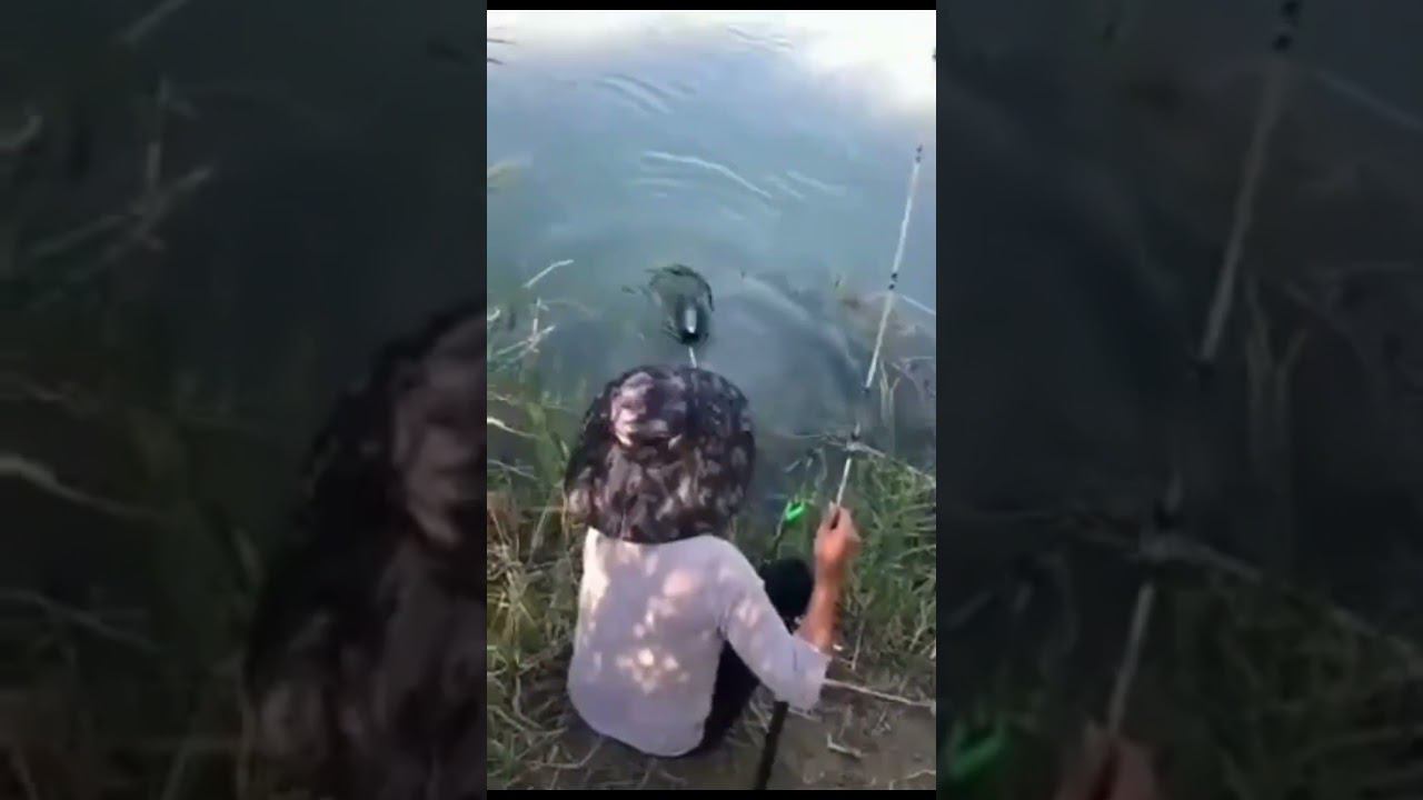 Вот это улов