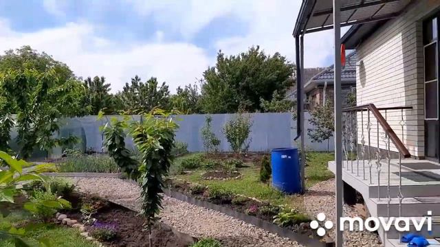 2-3.05.24. Работа после дождя. Закат. Выпечка. Первая клубника.