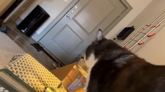 В пьянках замечен не был, но по утрам любил пить холодную воду.