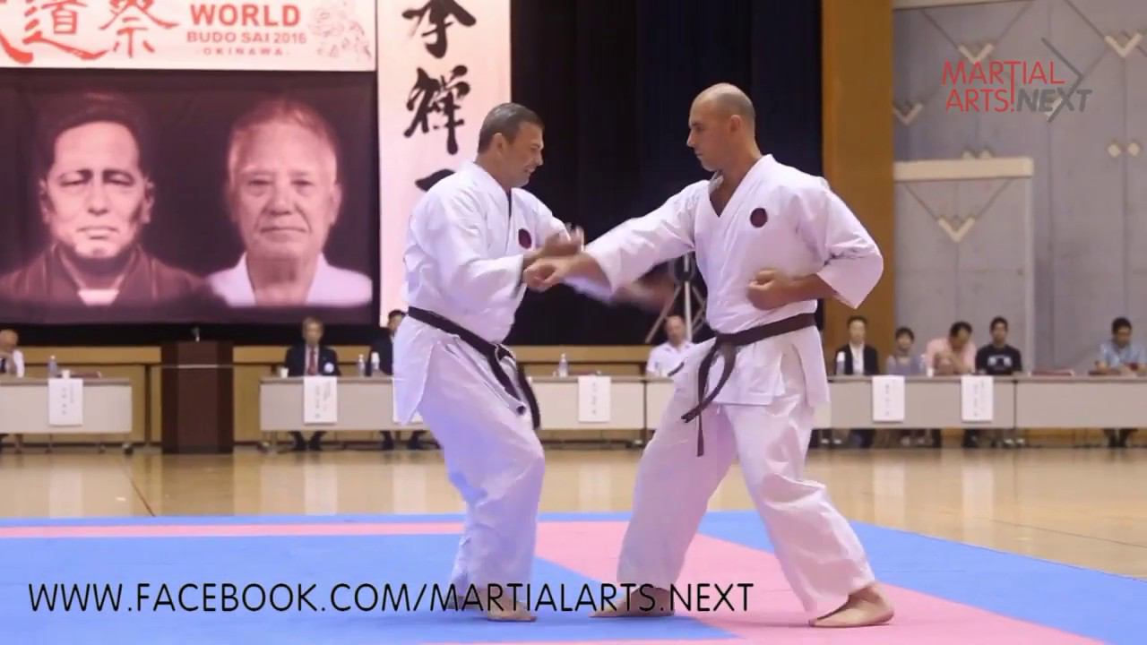 Goju Ryu Karate-Do World Budosai 2016.
Sensei Victor Panasiuk