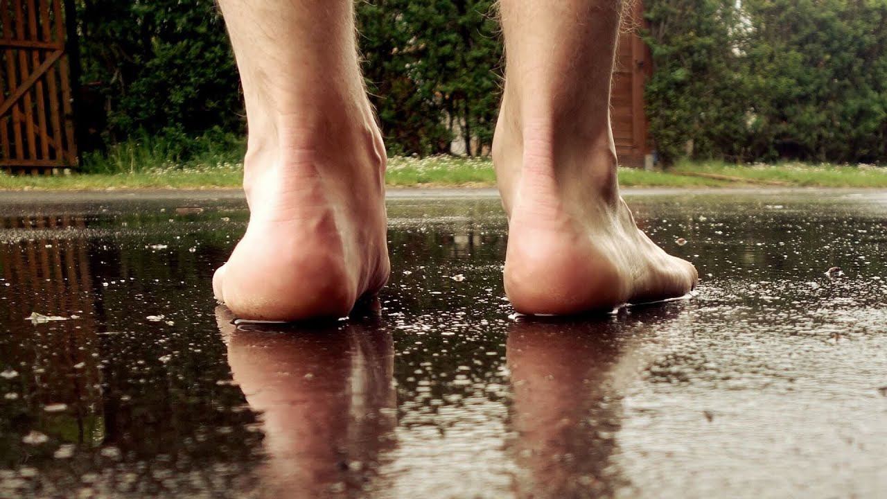 MSV - Осенний день