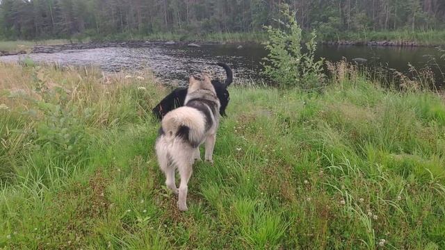 Карелия 2021.mp4