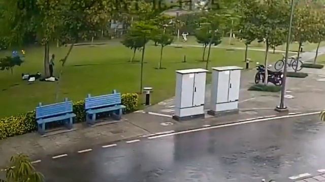 молния ударила в дерево , где стояла группа людей .