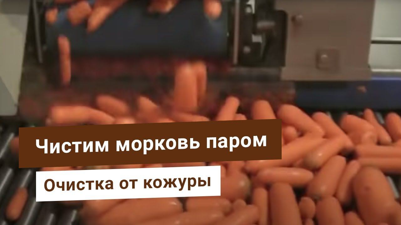 Паровая чистка моркови. Оборудование для очистки картофеля и др. овощей, персика, папайи от кожуры.