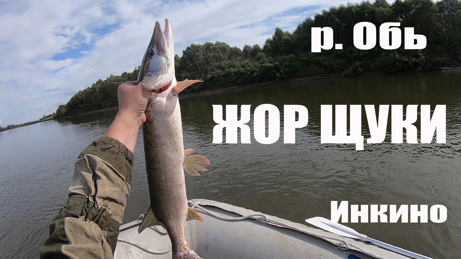 Рыбалка на реке Обь | Нереальный клев щуки и судака | Рыбалка в Томской области