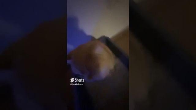 Котёнок 2023, часть № 15