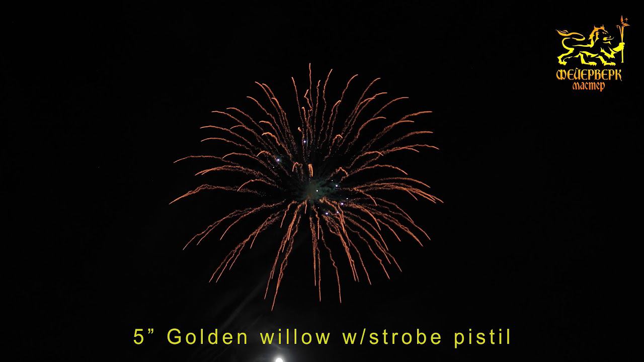 5" Golden willow w/strobe pistil