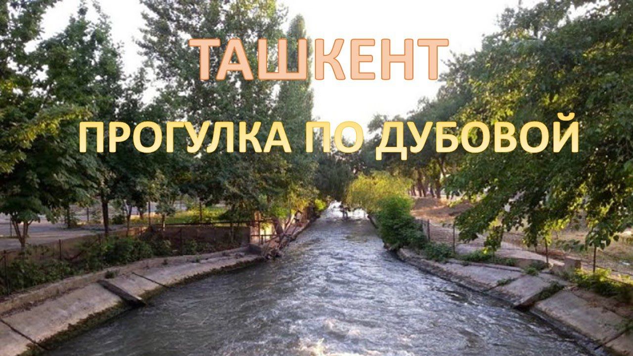 ТАШКЕНТ. ПРОГУЛКА ПО ДУБОВОЙ, СТАРОЙ НАБЕРЕЖНОЙ КАРАСУ ЧЕРЕЗ БУШУЙКУ.