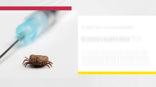 ПРОздоровье. Сургут. 30.06.2022