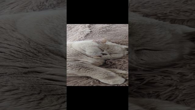 Притворился немного ?