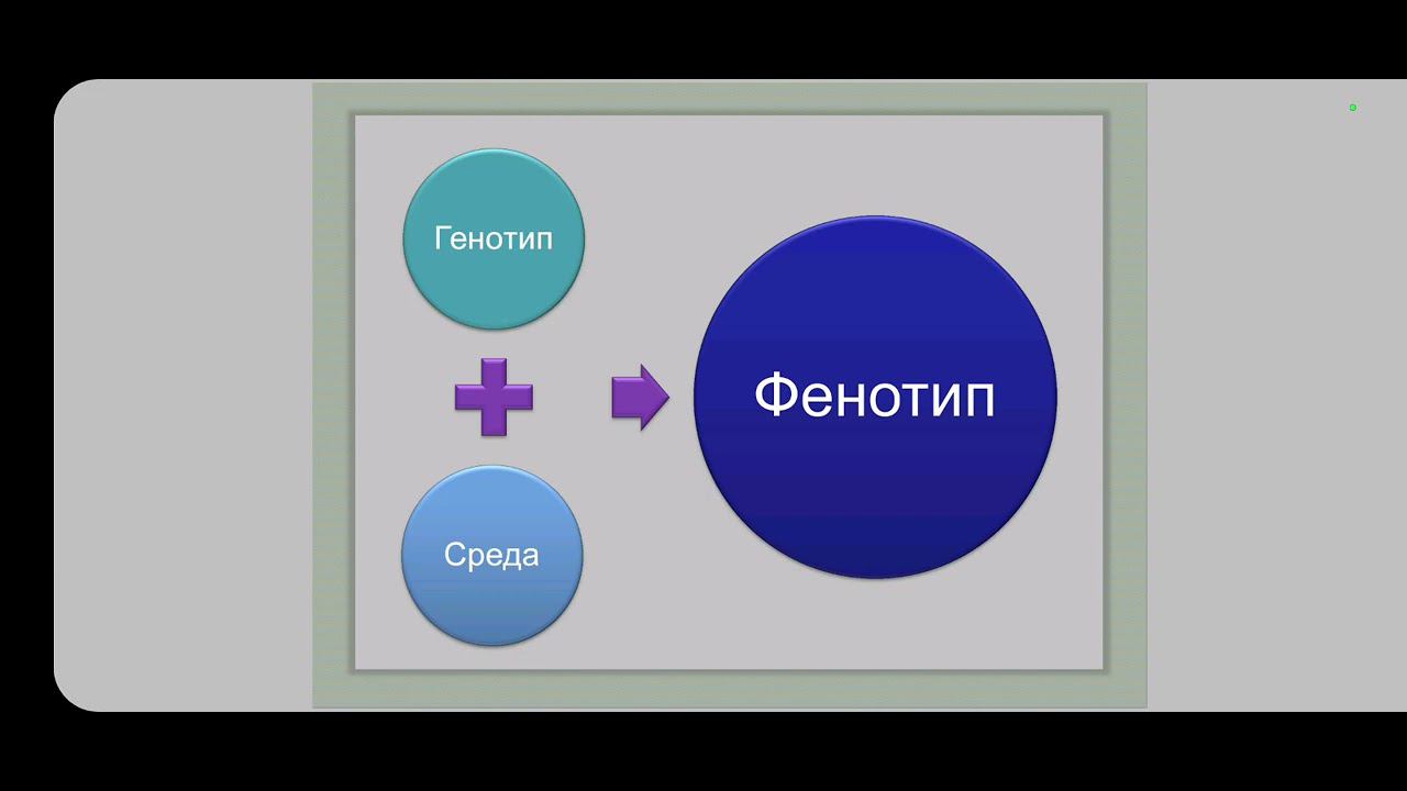 Введение в психогенетику