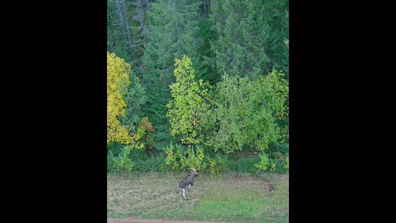 #autelevo2 #autelevo2pro