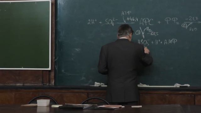 Нетрусов А. И. - Микробиология I - Сульфатредукторы