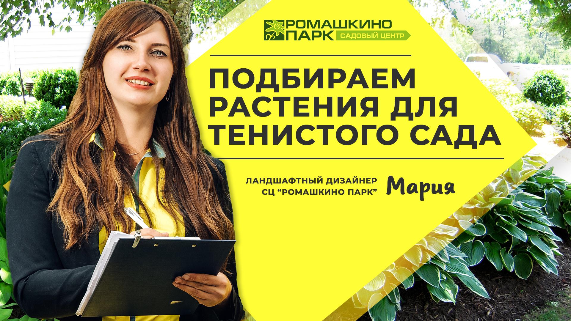 Неприхотливые тенелюбивые растения для вашего сада