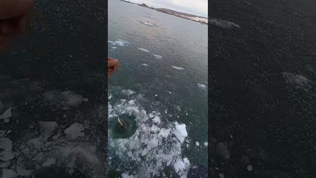 открытие зимнего сезона 2021-2022