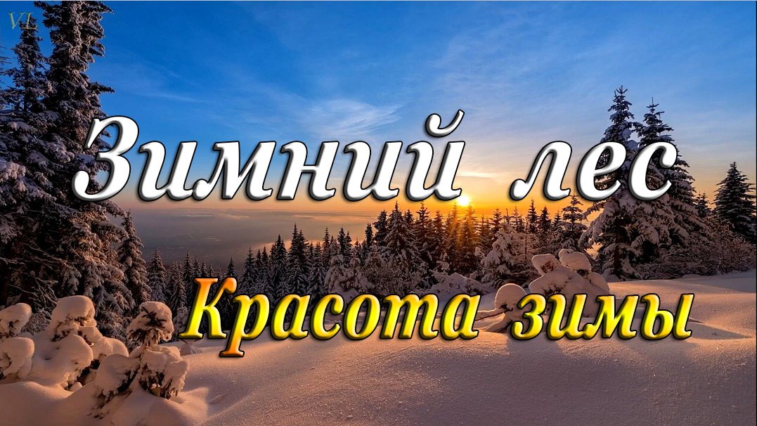 ЗИМНИЙ ЛЕС | Музыка фортепиано