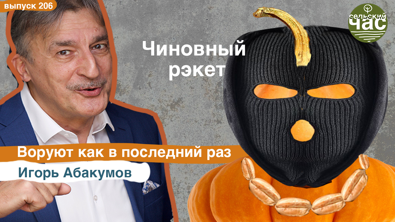 Чиновный рэкет. Сельский час #206 (Игорь Абакумов)