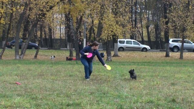 Фризби Фристайл Ирина и Хопа Осенний вальс.mp4