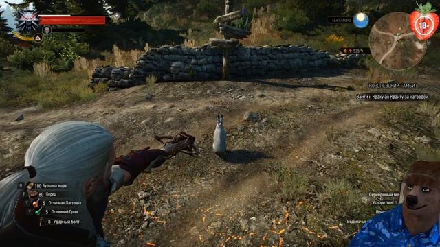 Ведьмак 3: Дикая Охота прохождение Kill the rabbit / Убить кролика