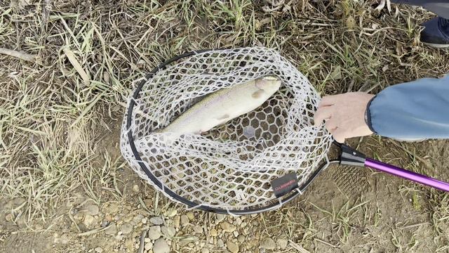 2024год 1 яваря открытие сезона форели