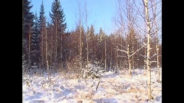 "Охотхозяйство «Скнятино» вчера, сегодня, завтра…". Видеоприложение №17 часть 2 к журналу «Сафари»
