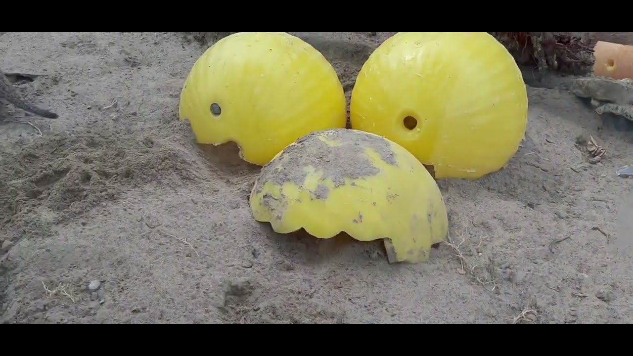 Зоопарк Санкт-Петербурга 2024.♻️[Olga Pak]