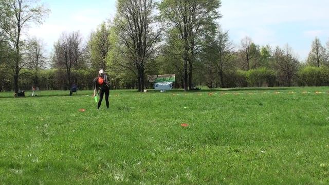 Алёна и уиппет Асмодей.mp4