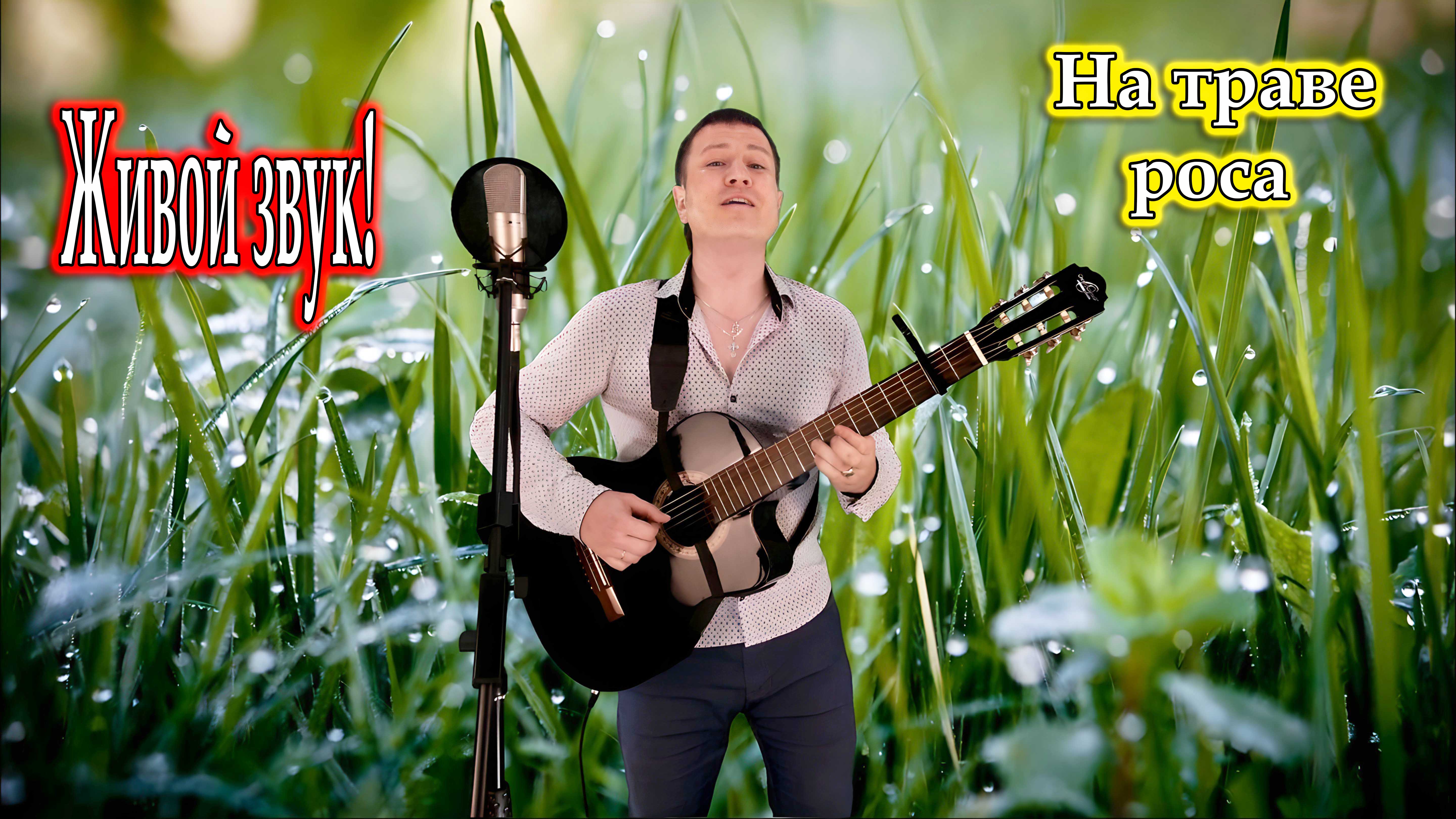 Вячеслав Малежик, исп. Владимир Need Soul Кузьмин - На траве роса (cover version)