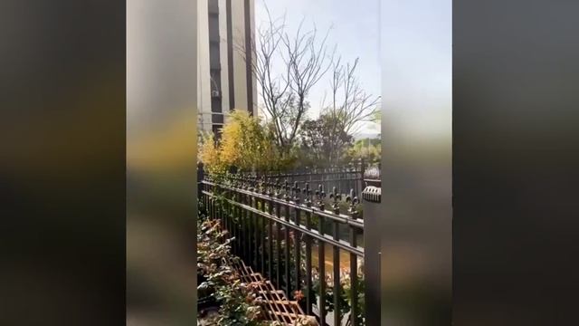 идея полива.