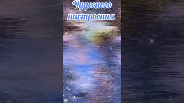 Хорошего дня