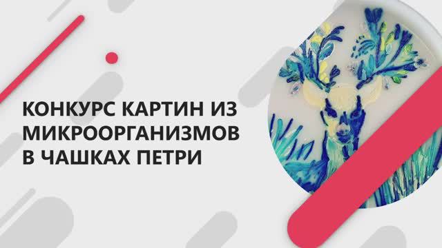 Красота микромира 2022: регистрация началась