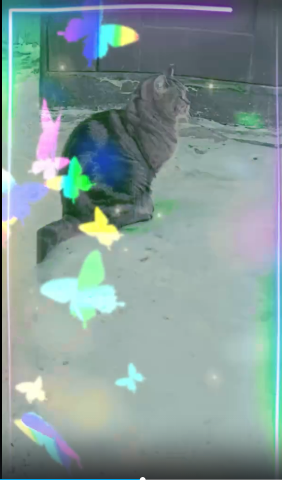 Спецэффекты 2 #Коты #Турецкий марш #Видеоэффекты