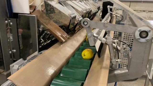 Линия по дозированию и фасовке яблок в полиэтиленовый пакет (полурукав).