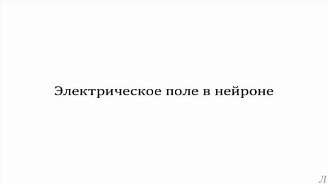 3.5 Параметры нервной системы. Электрическое поле в нейроне
