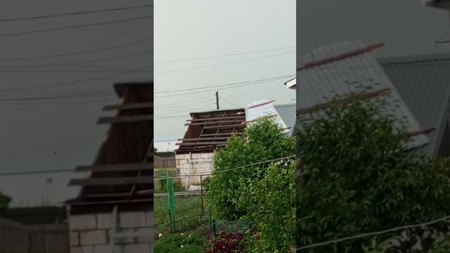 последствия после дождя и ветра