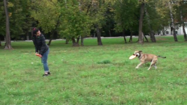 Чемпионат России Фристайл Ольга и Барс.mp4