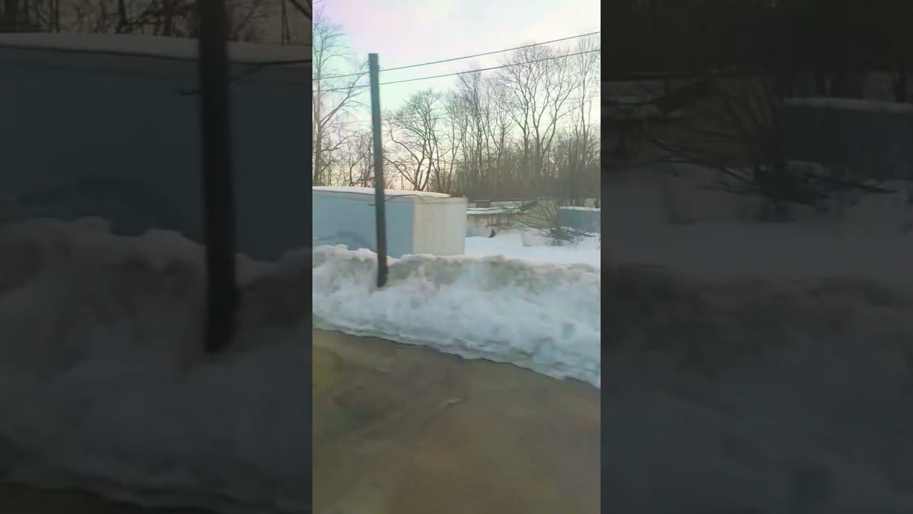 #shorts станция Ожерелье из окна поезда