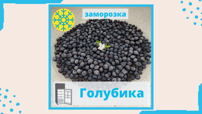 Голубика заморозка.mp4