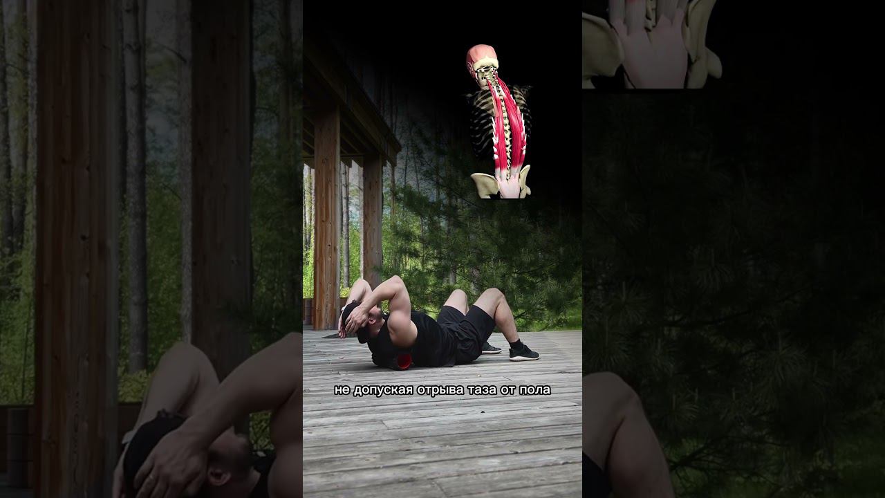 Разгибание и сгибание грудного отдела спины лежа на массажном цилиндре