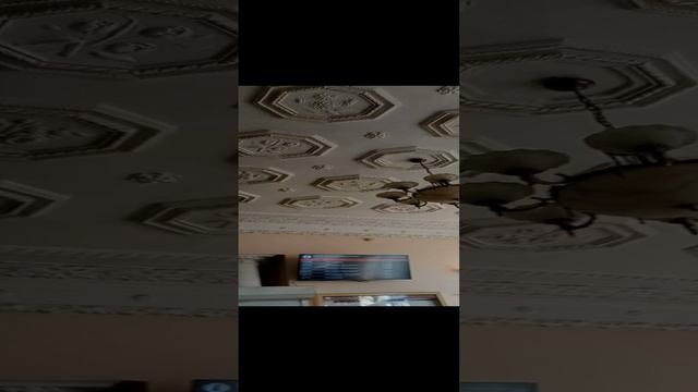 Павловск , СПБ ПИТЕР ТИПИЧНЫЙ ПИТЕР ЛЕТО ПРИРОДА