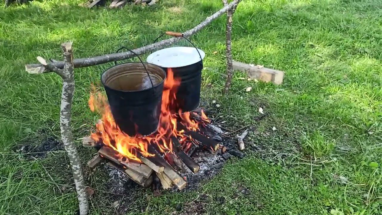 Уха будет! Бианковский праздник.  Боровно.  Страна Див