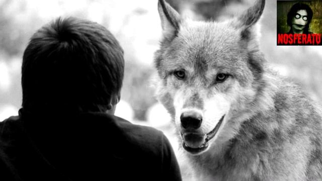 Волчья преданность. Стих. ДО СЛЕЗ....mp4