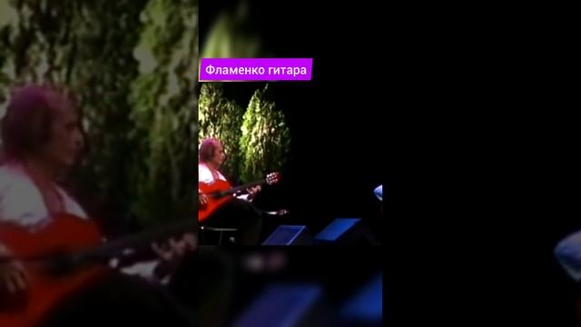 Какие виды гитары быаают